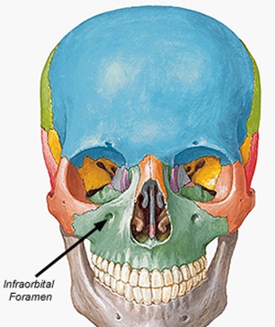 DR ZAKIR HUSSAIN MEMORIAL BHARATIYA VIDYA VIHAR TALENT DEVELOPMENT ...